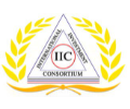 International Investment Consortium(IIC)